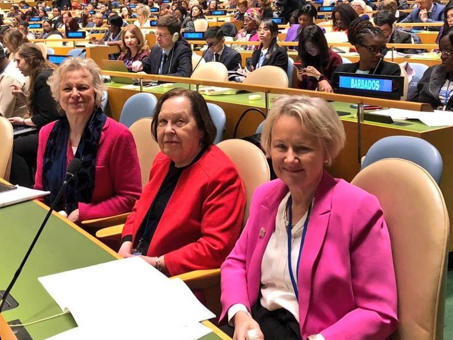Peers play key role for UK at CSW63 at the United Nations - BGIPU