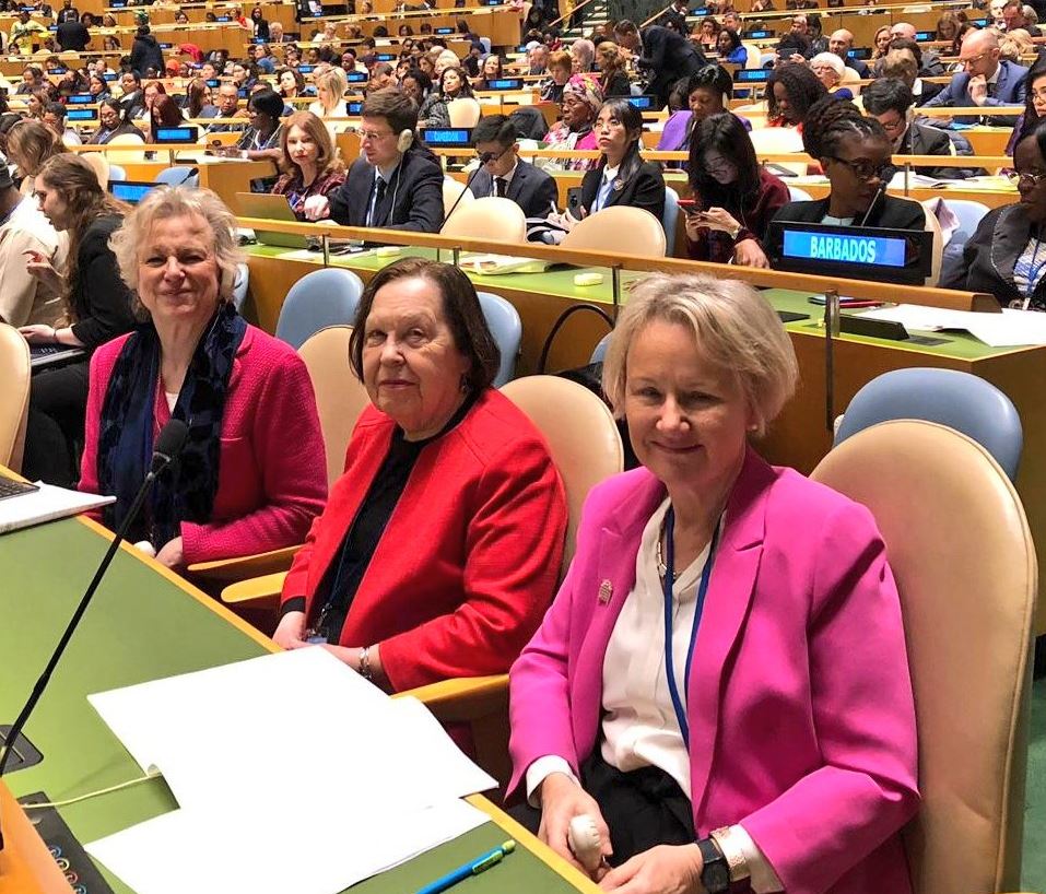 Peers play key role for UK at CSW63 at the United Nations - BGIPU